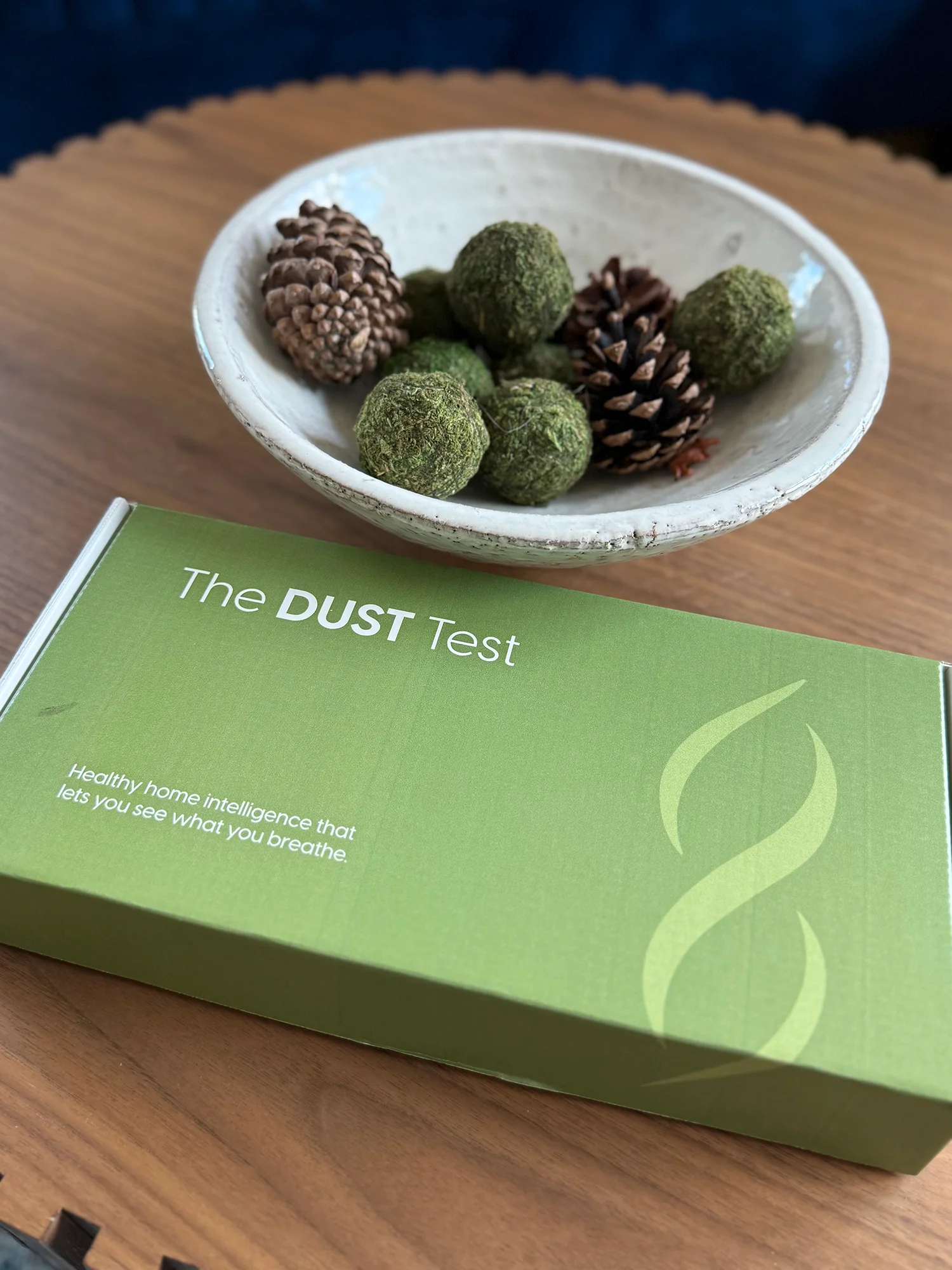 The Dust Test | At-Home Mold & Dust Analysis Kit